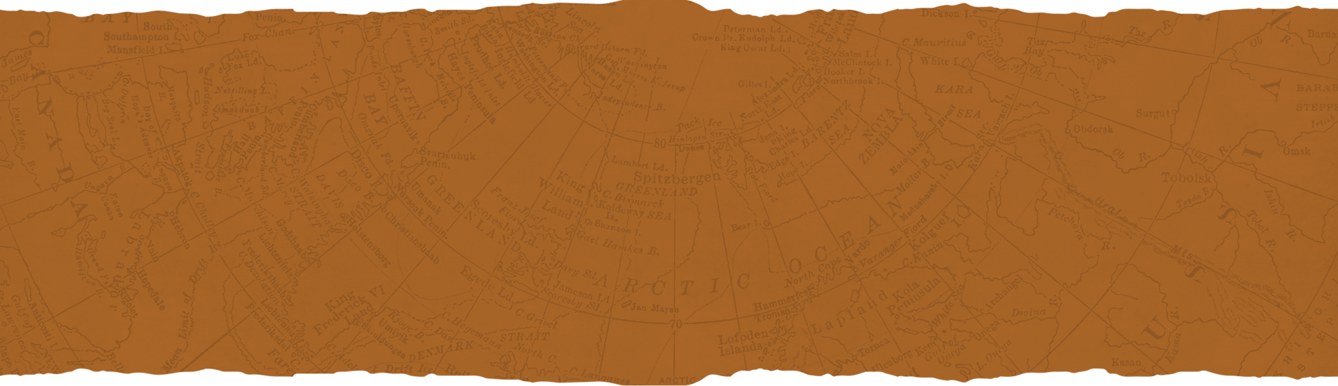 Why is the Sunflower the National Flower of Ukraine?