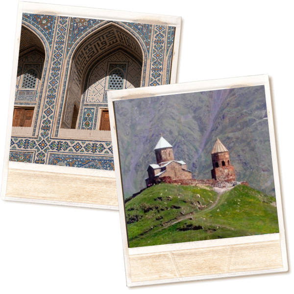 Why is the Sunflower the National Flower of Ukraine?