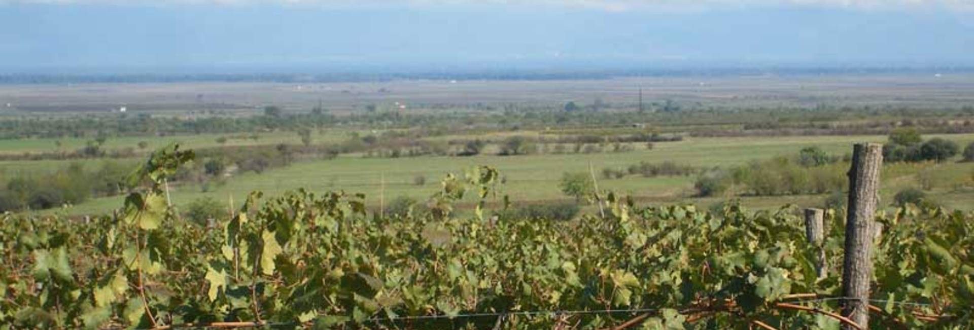 Luxury in Wine Country: Radisson Collection Hotel at Tsinandali Estate