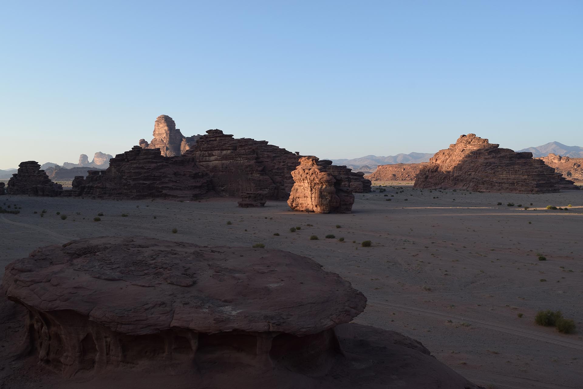 Saudi Arabia: Trade Routes, Tradition & Transformation | MIR Corp