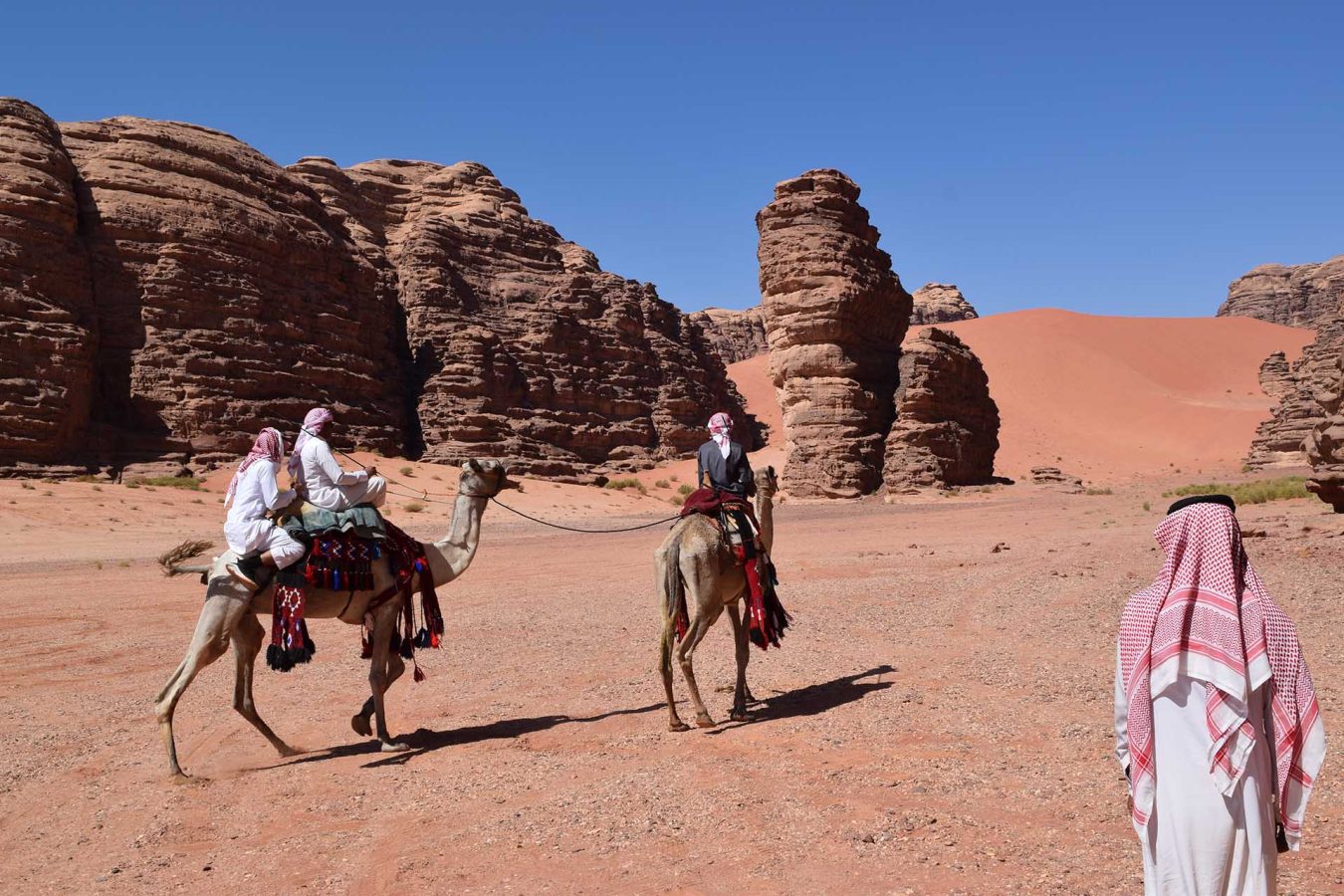 Design Your Own Trip to Saudi Arabia | MIR Corp