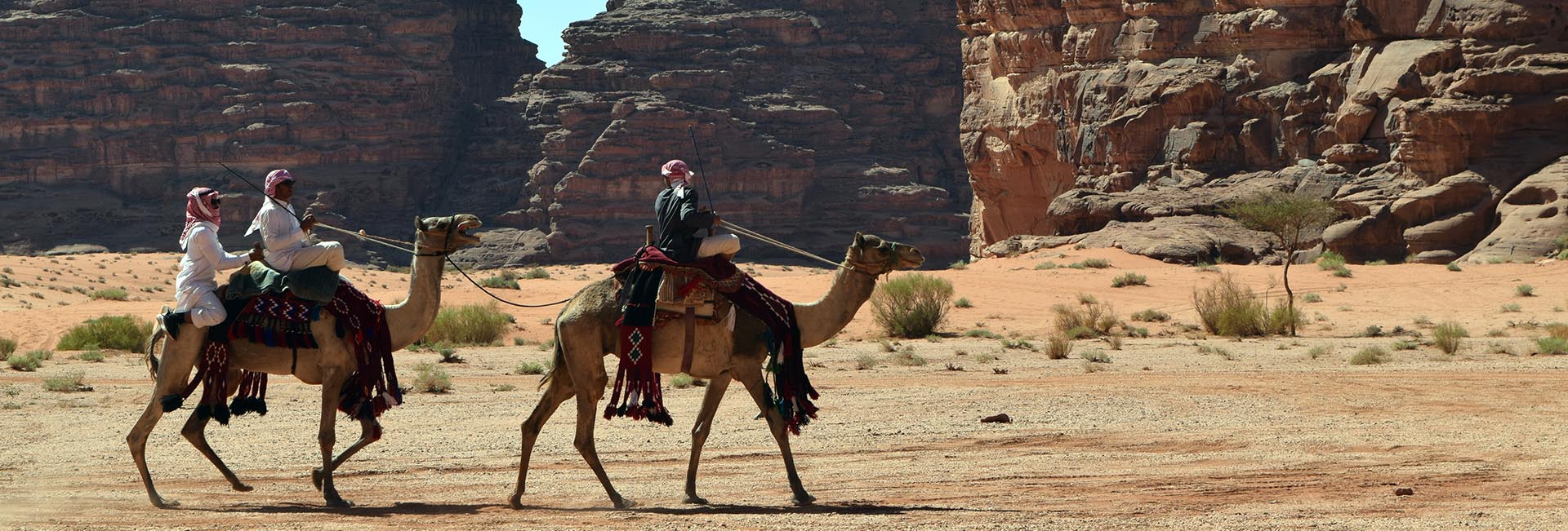 Saudi Arabia: Trade Routes, Tradition & Transformation | MIR Corp