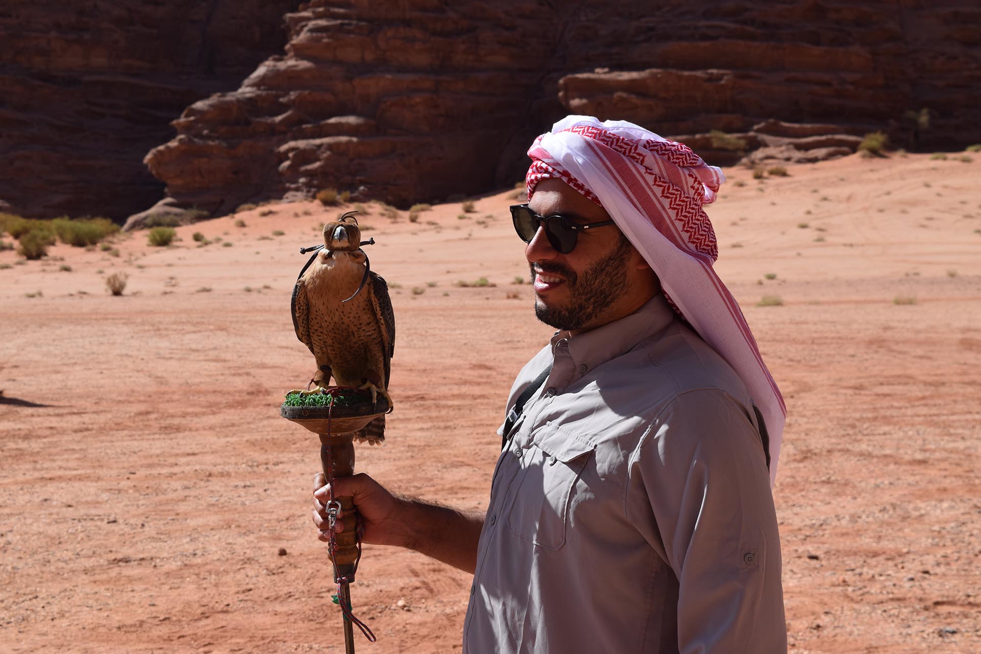 Design Your Own Trip to Saudi Arabia | MIR Corp