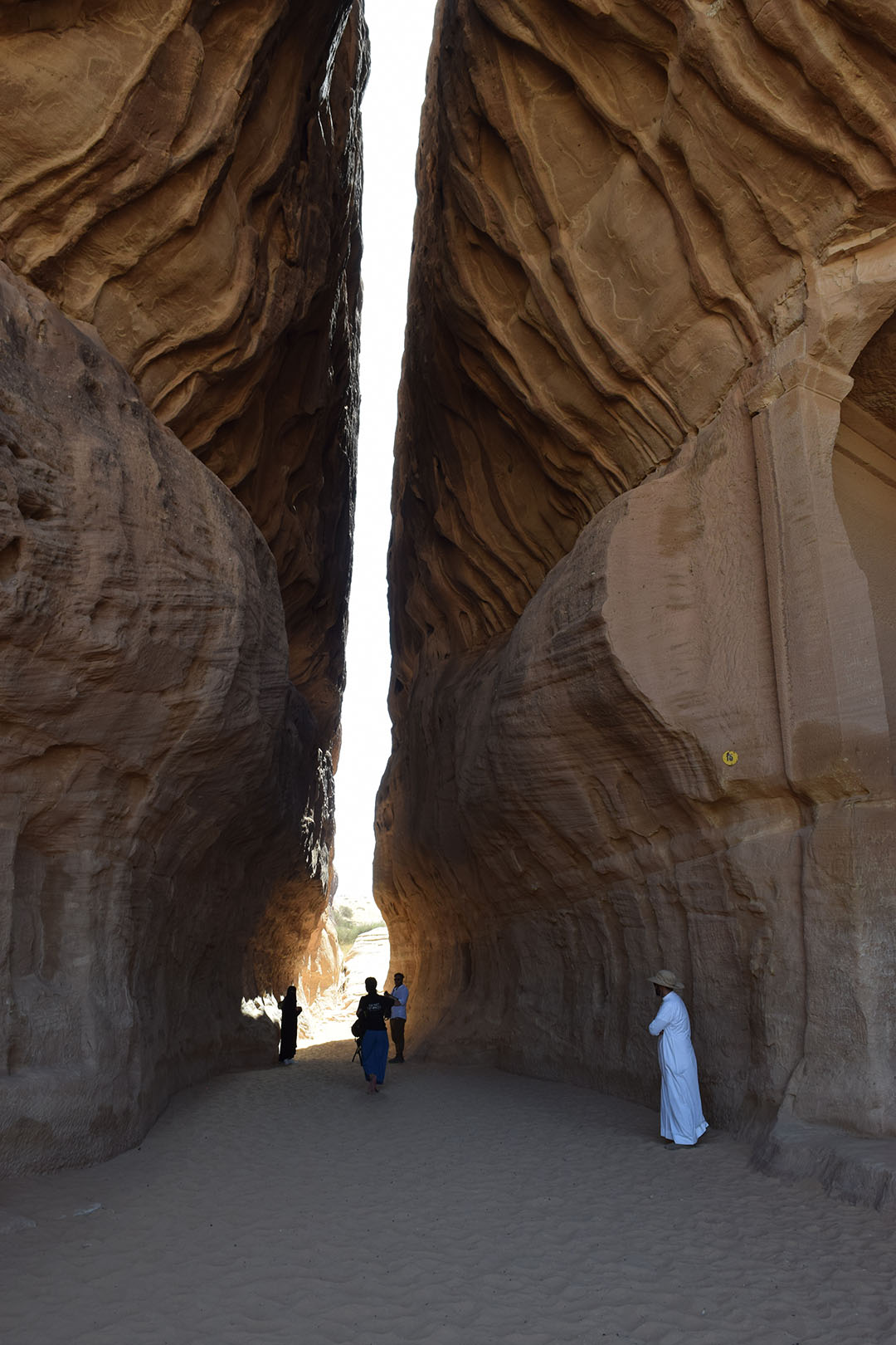 Guided Trips to Saudi Arabia | MIR Corp