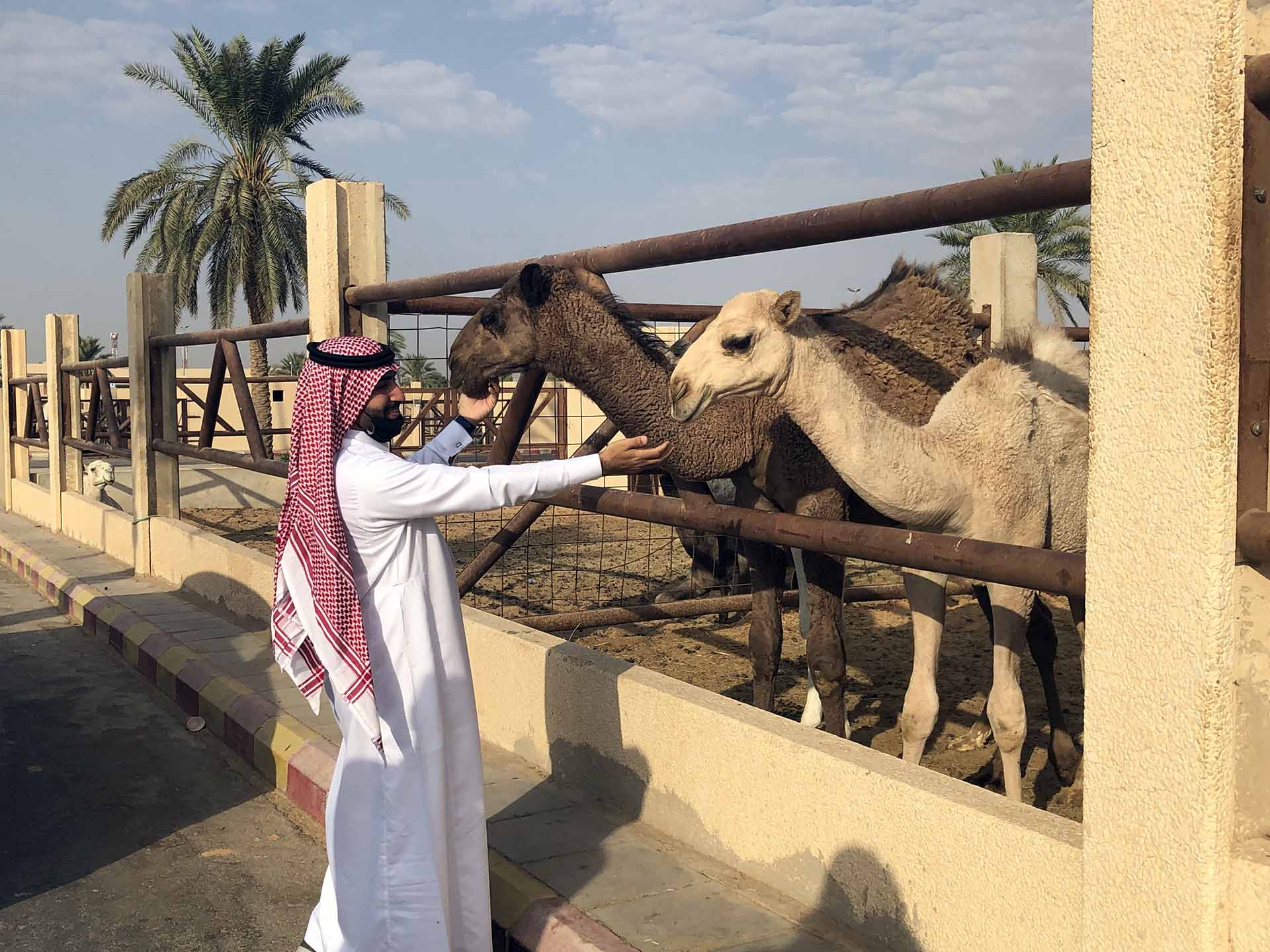 Saudi Arabia: Trade Routes, Tradition & Transformation | MIR Corp