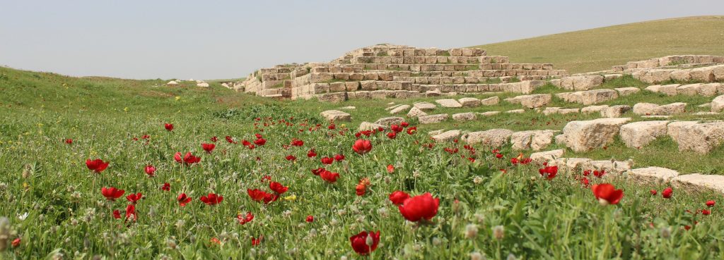 Iraq Tours & Guided Trips | MIR Corp
