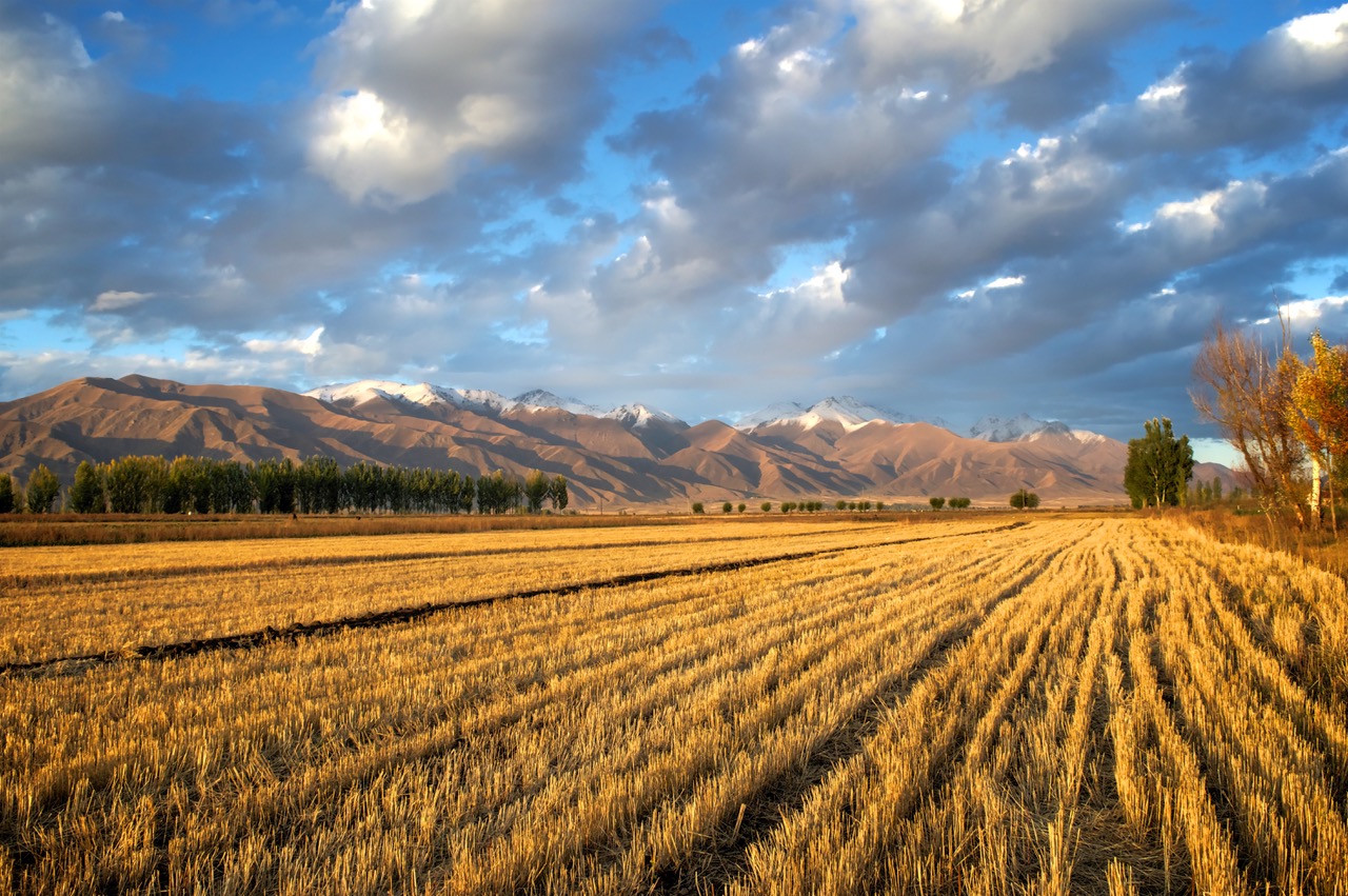 Outposts of the Silk Road Tour: Kyrgyzstan & Uzbekistan | MIR
