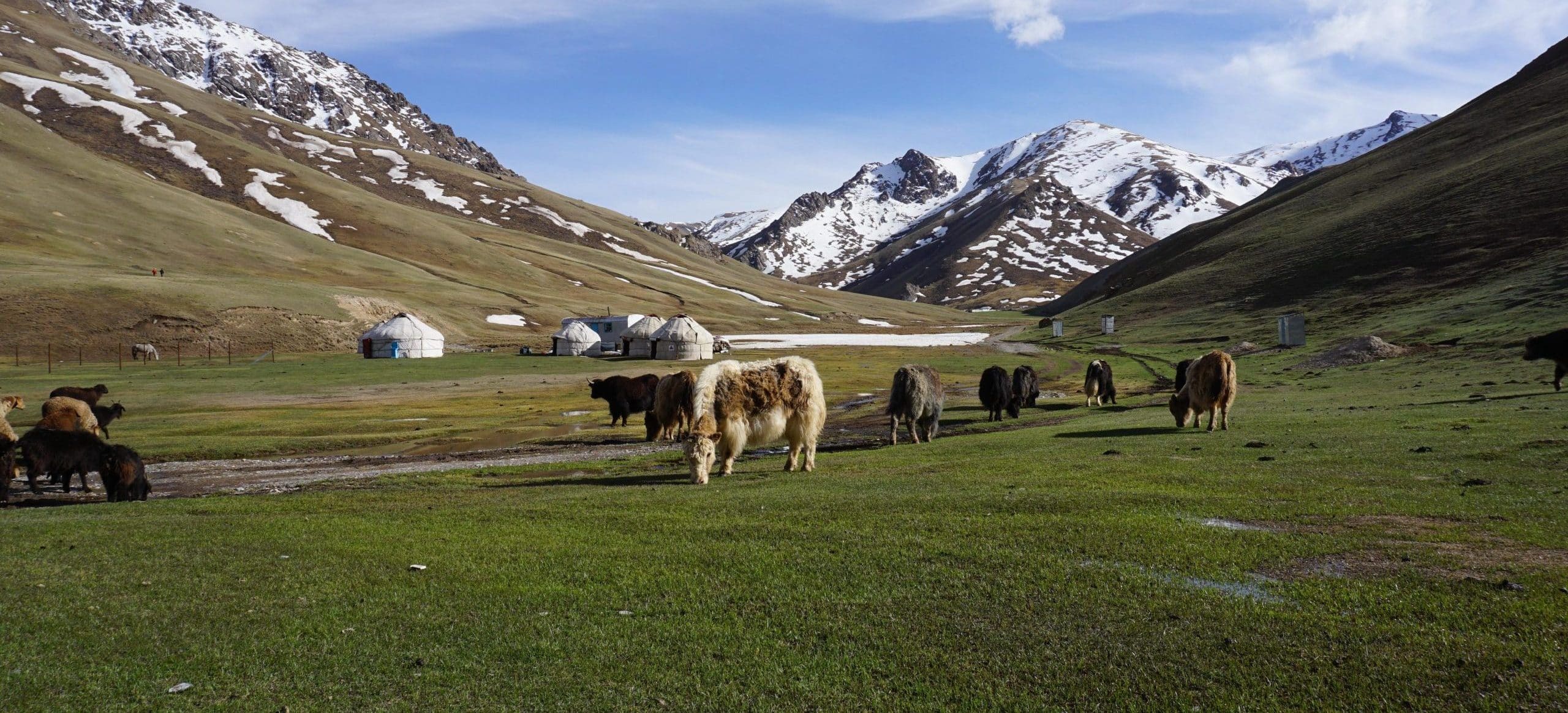 Outposts of the Silk Road Tour: Kyrgyzstan & Uzbekistan | MIR