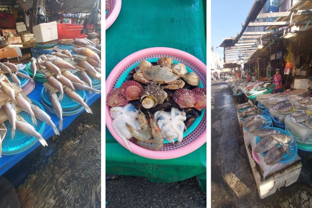 5 Things to Do in Busan, South Korea | MIR Travel
