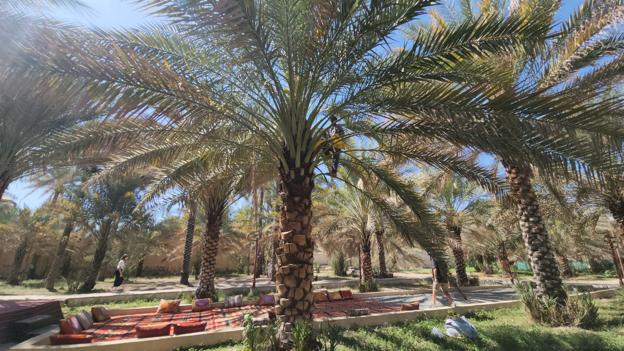 Visiting Oman During Ramadan: Essential Travel Tips | MIR